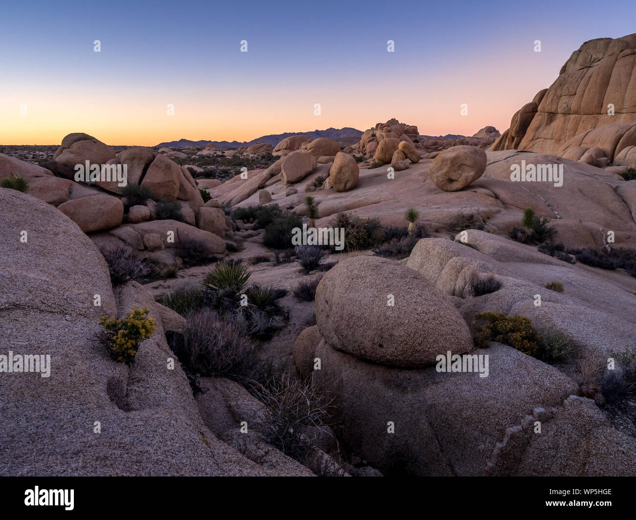Landscape in Joshua Tree National Park, California, USA, where the ...