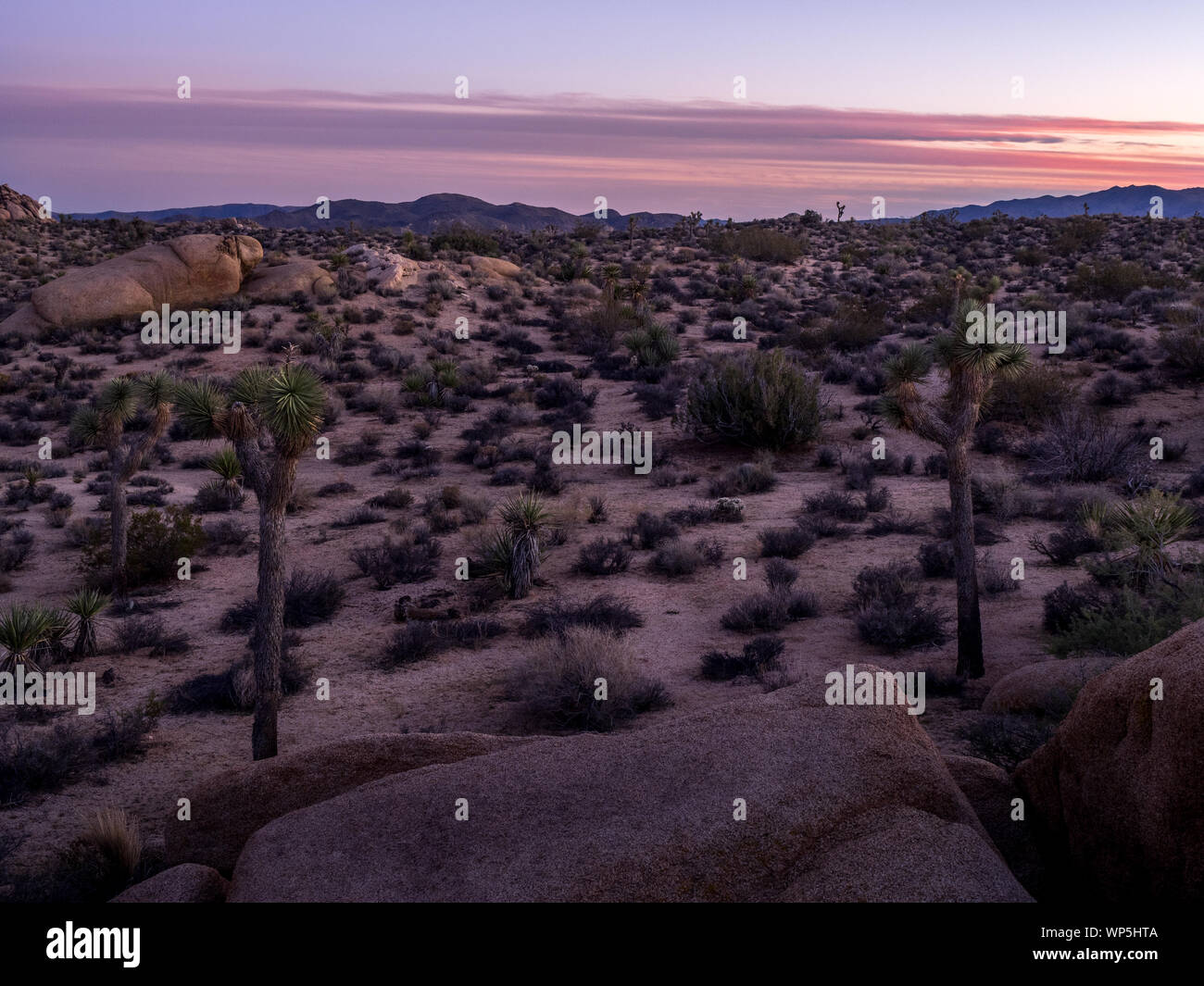 Landscape in Joshua Tree National Park, California, USA, where the ...