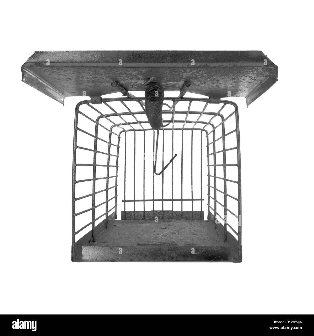 Humane type mousetrap, front view looking inside, isolated on white ...