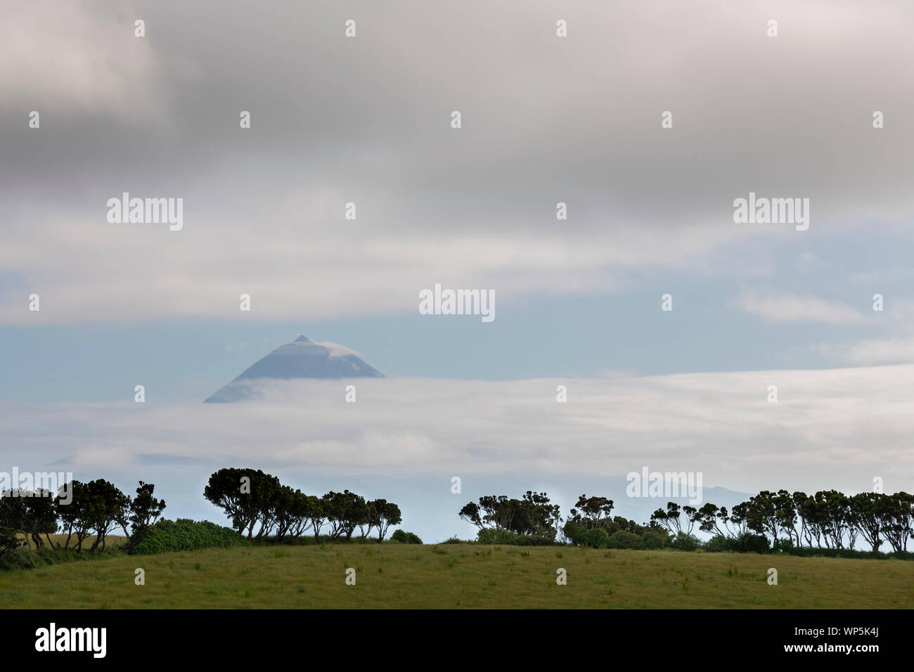 Mount Pico , Ponta do Pico with clouds layer as seen from São Jorge ...