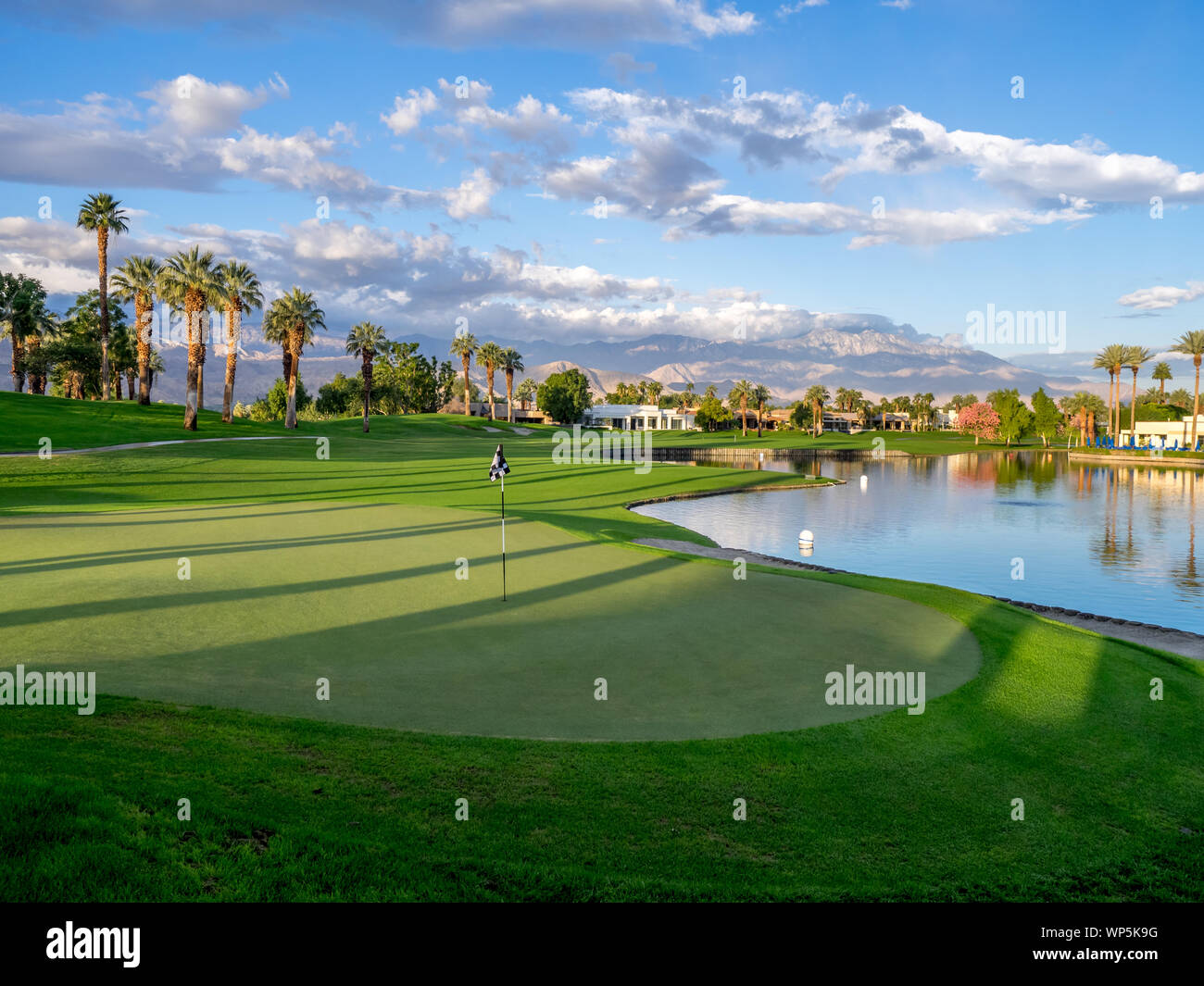 Palm trees in a golf course hi-res stock photography and images - Alamy