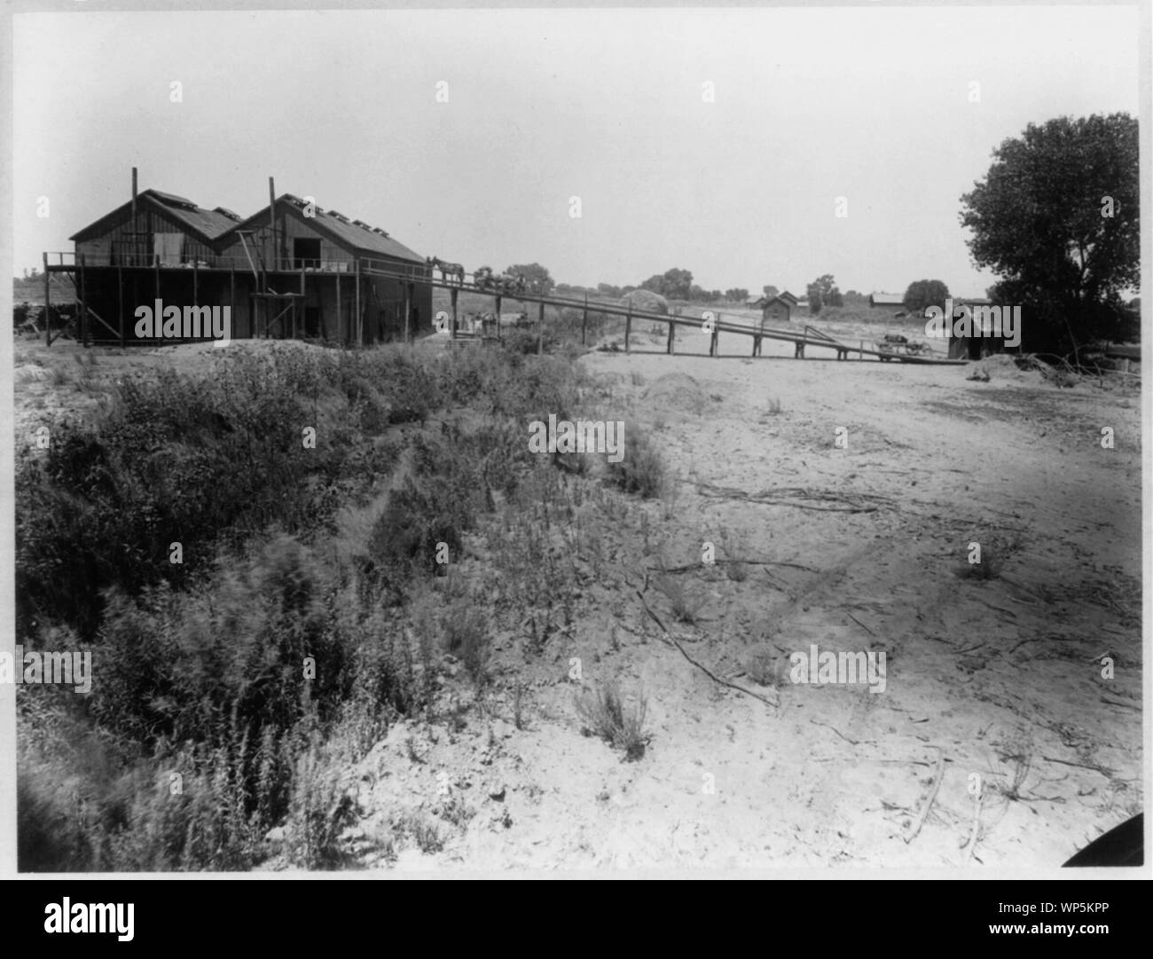 Kern County, California]: The Hop Ranch. The hop house and incline ...