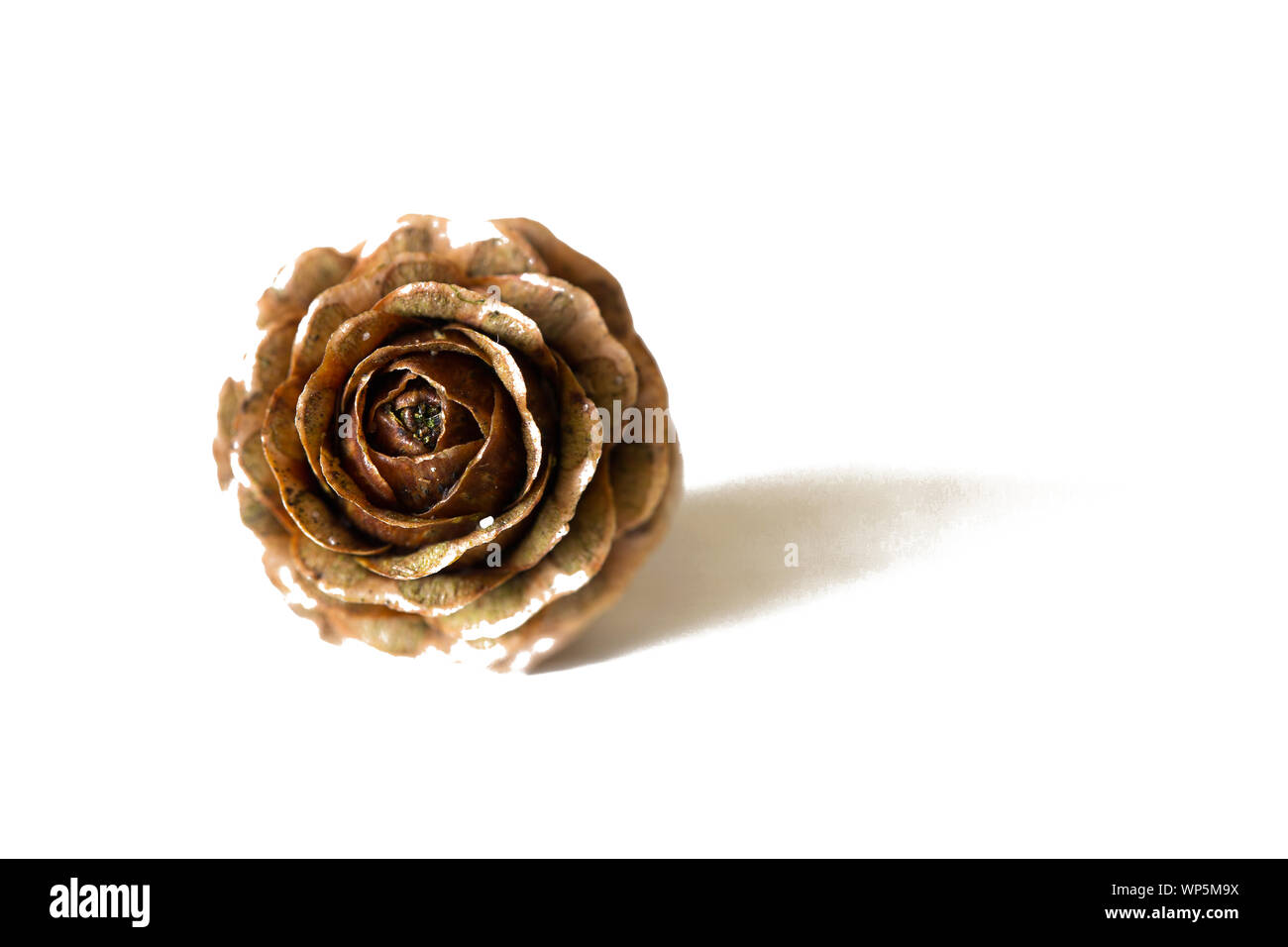 Fir trees in the snow Cut Out Stock Images & Pictures - Alamy