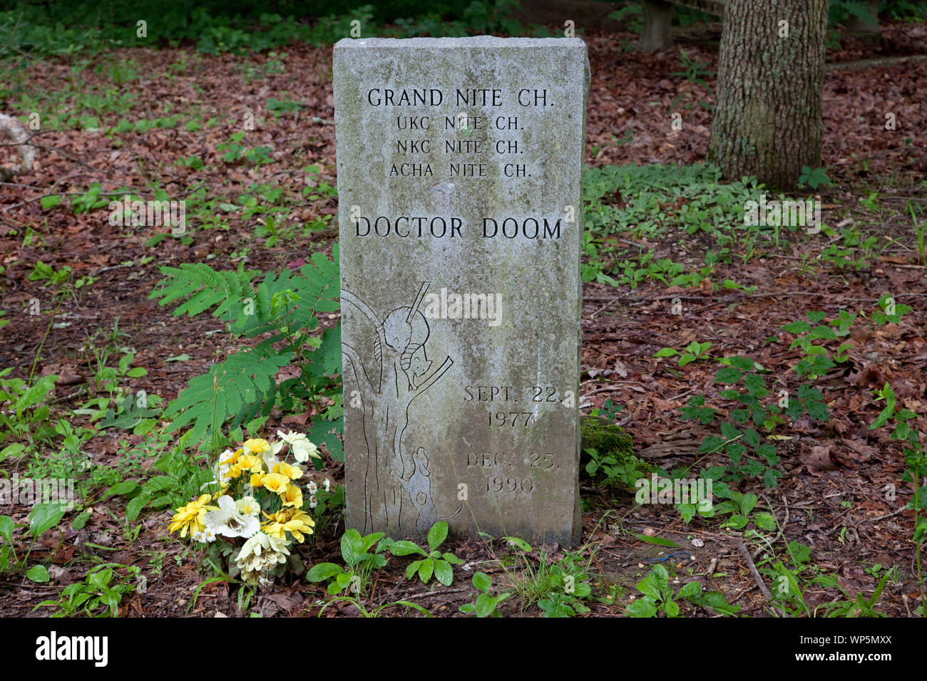 Key Underwood Coon Dog Memorial Graveyard, Colbert County, Alabama ...