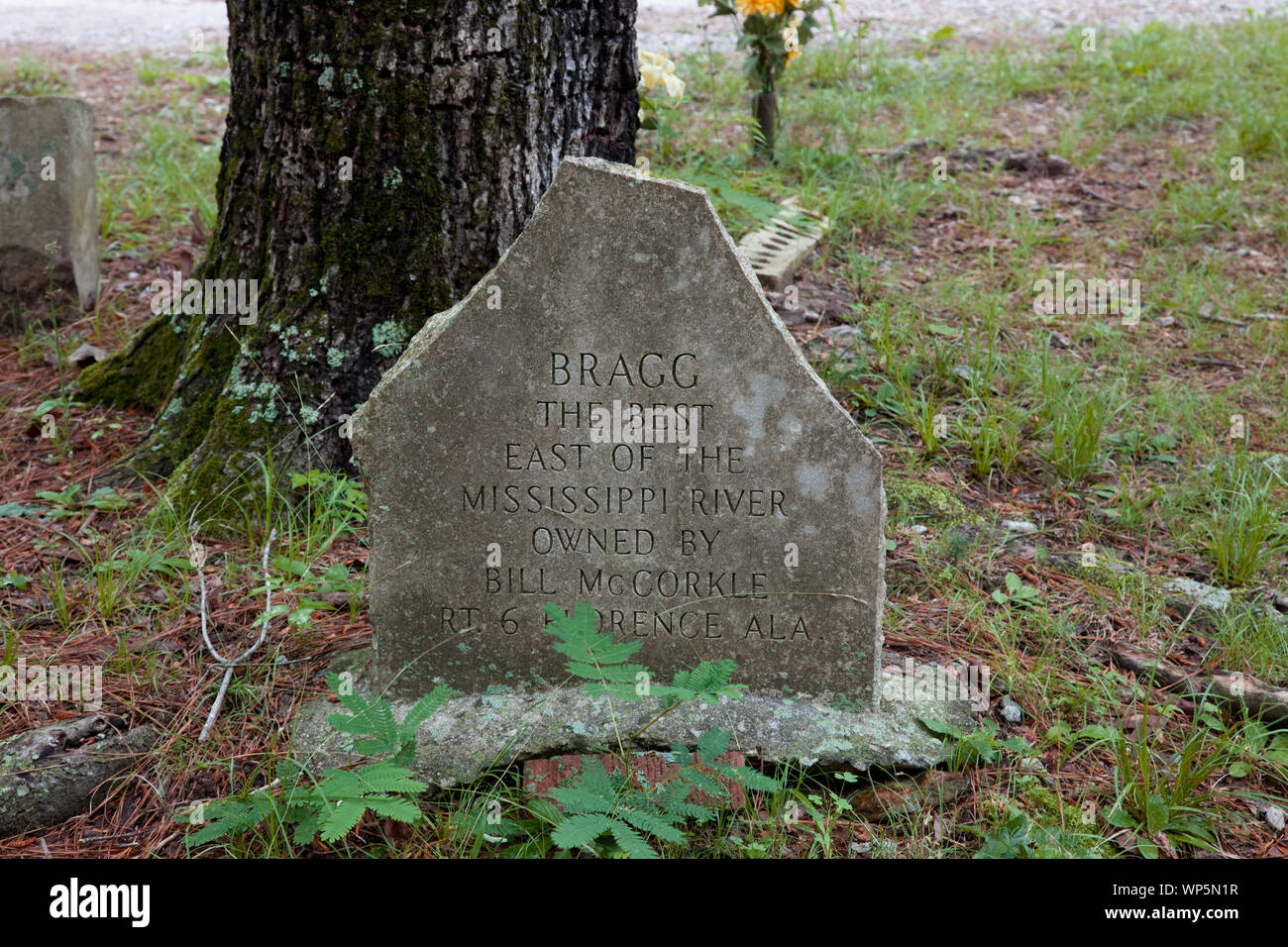 Key Underwood Coon Dog Memorial Graveyard, Colbert County, Alabama ...