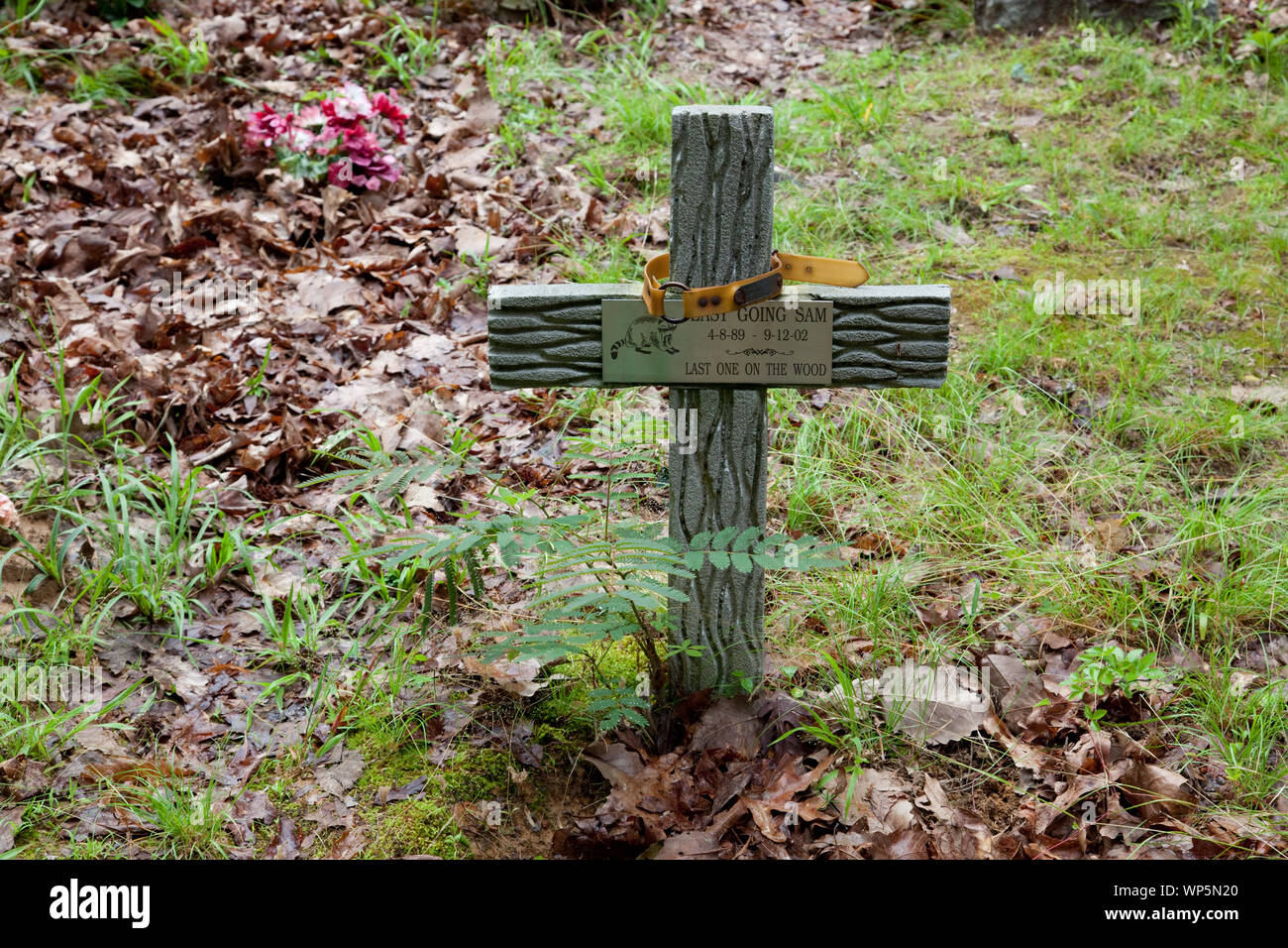 Key Underwood Coon Dog Memorial Graveyard, Colbert County, Alabama ...