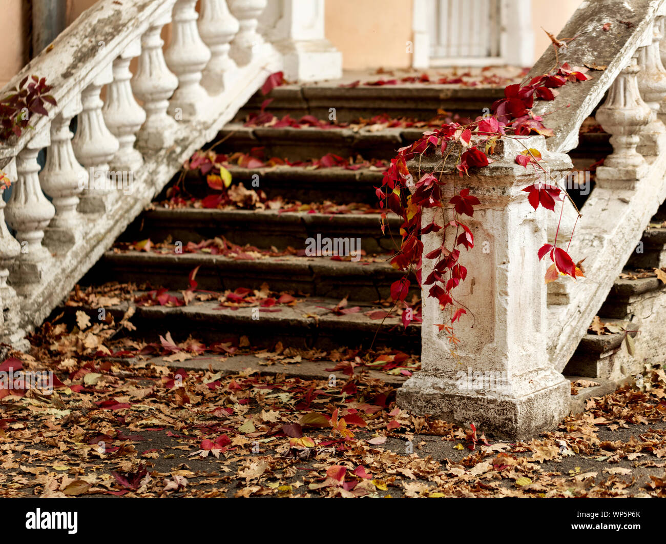 Stone steps and fall leaves hi-res stock photography and images - Alamy