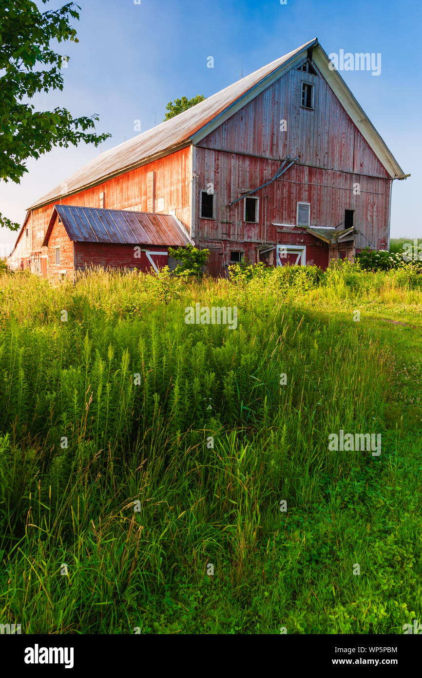 Weathered old red barn in a rural setting, Stowe, Vermont, USA Stock ...