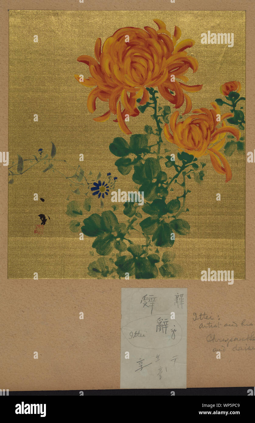 Kiku hi-res stock photography and images - Alamy