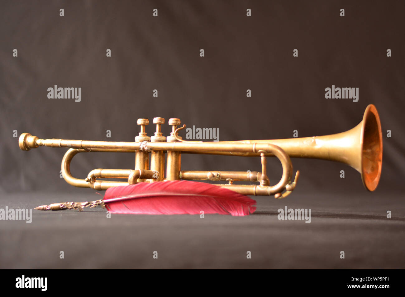 Trumpet of sur hi-res stock photography and images - Alamy