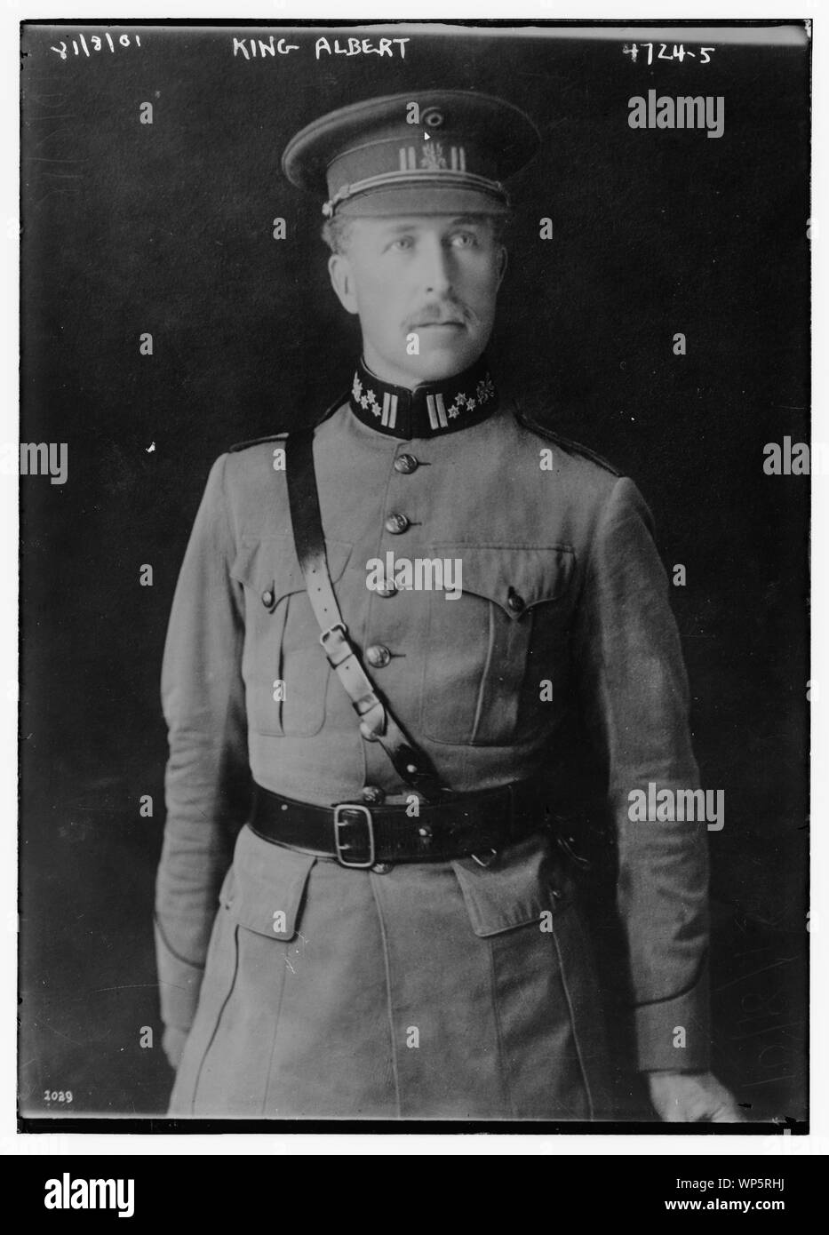 King albert Cut Out Stock Images & Pictures - Alamy