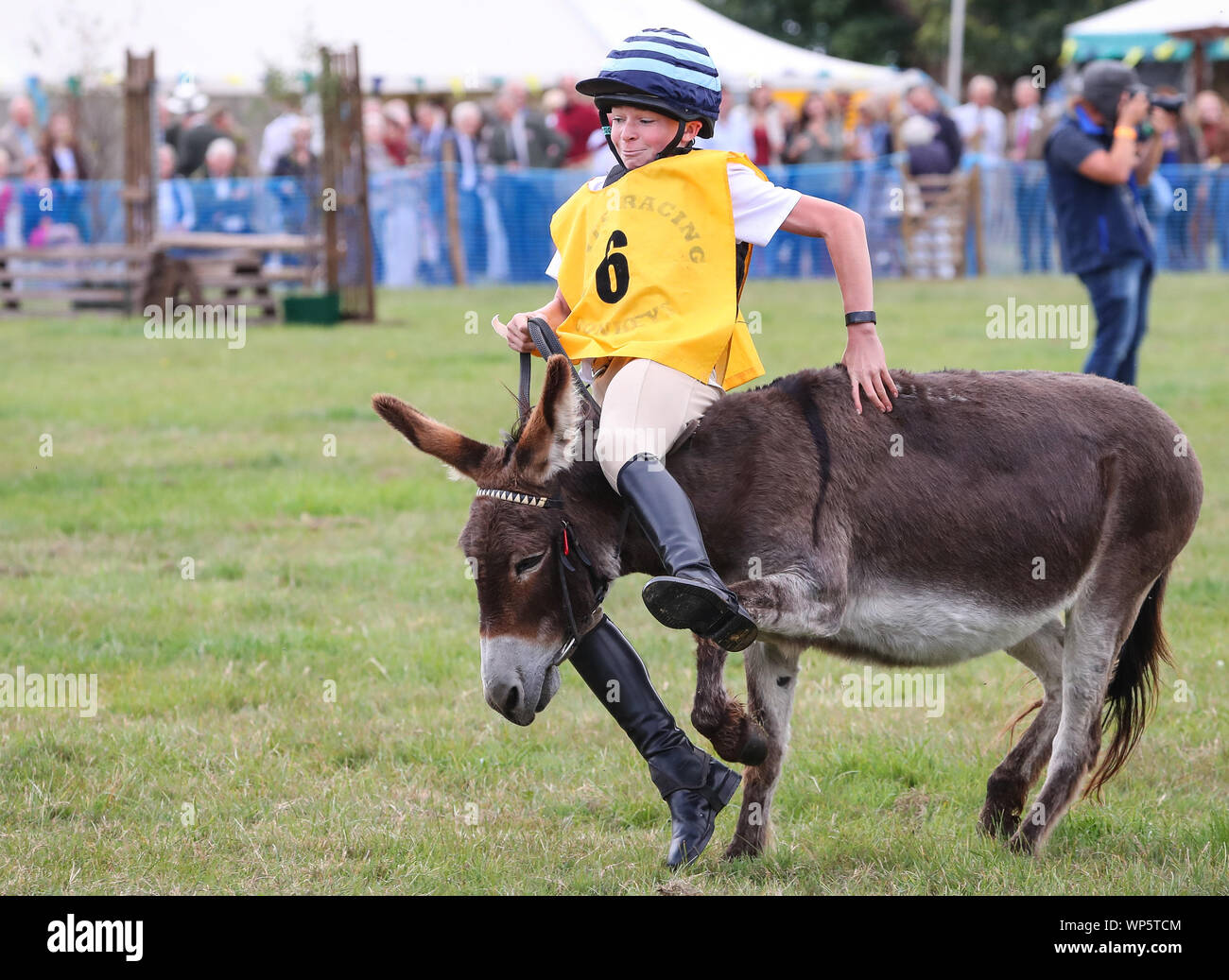 Donkey racing hi-res stock photography and images - Alamy