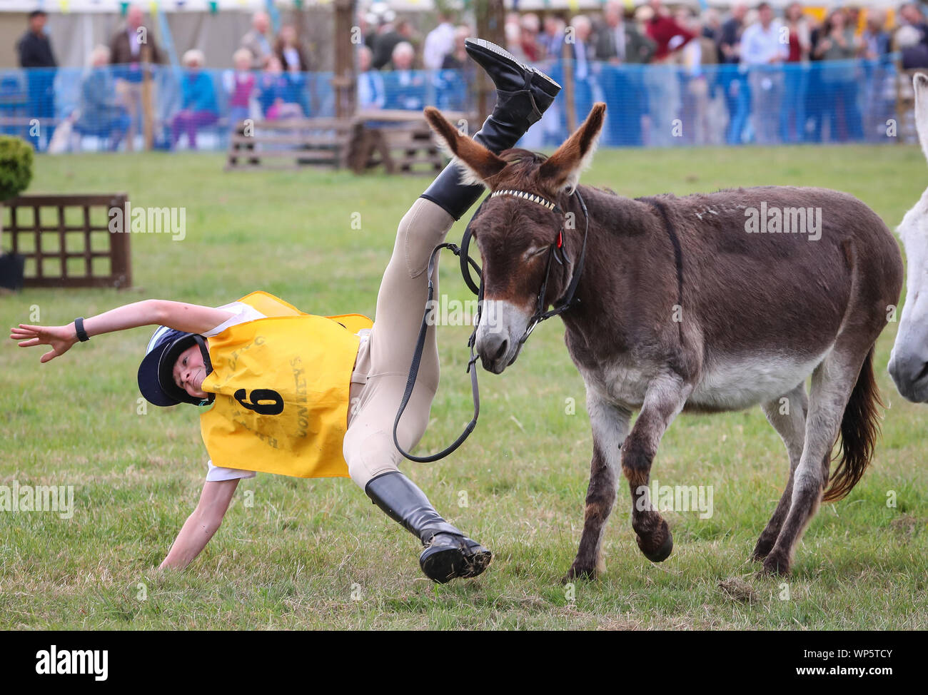Donkey racing hi-res stock photography and images - Alamy