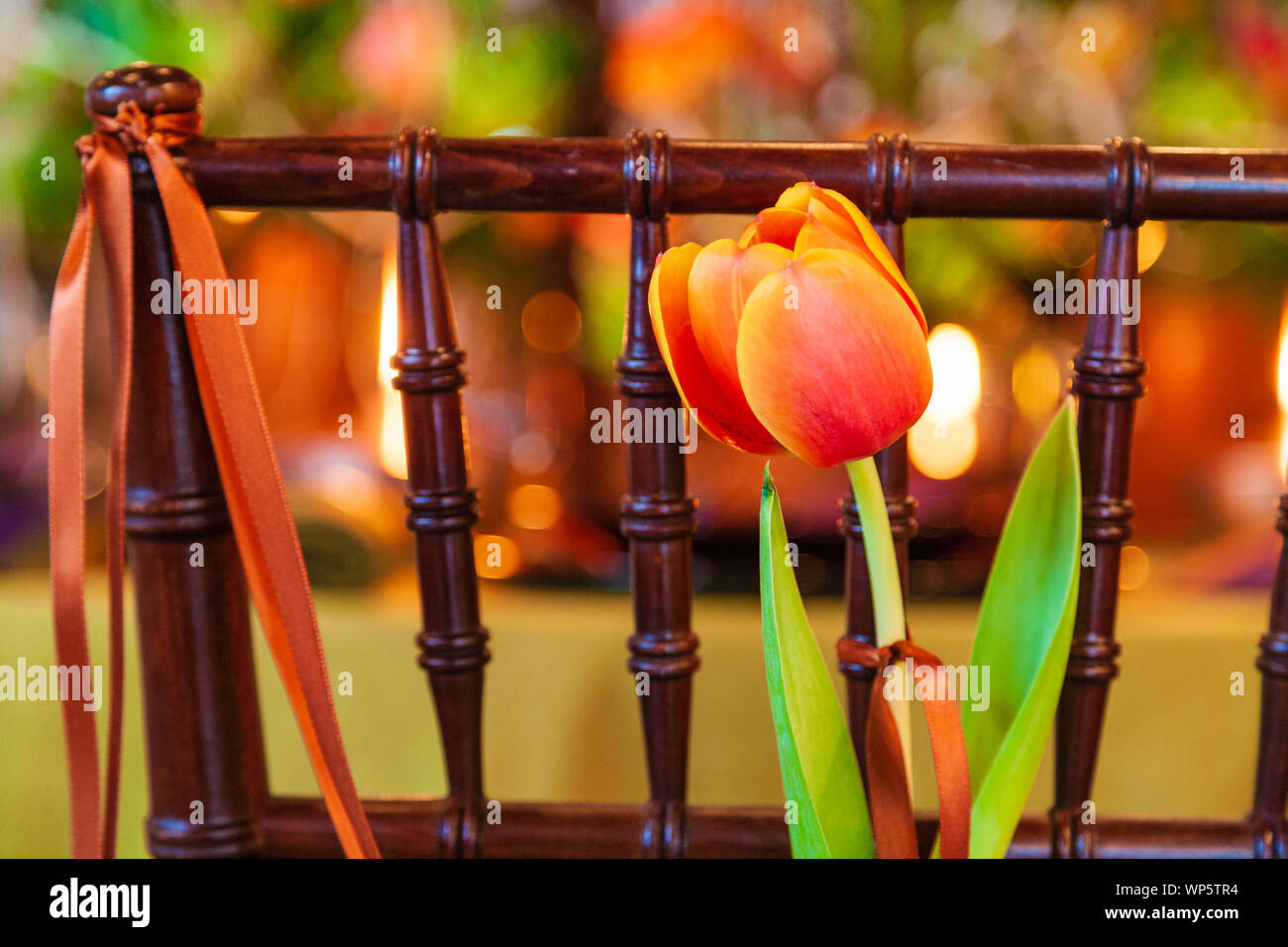 A tulip tied to the back of a chair at a wedding reception Stock Photo ...