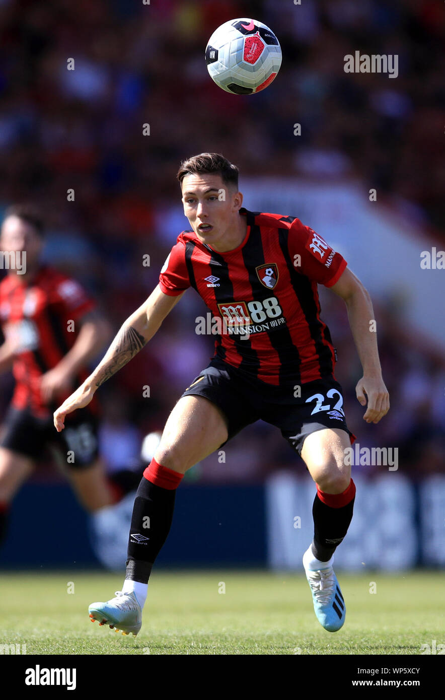 Bournemouth harry wilson hi-res stock photography and images - Alamy