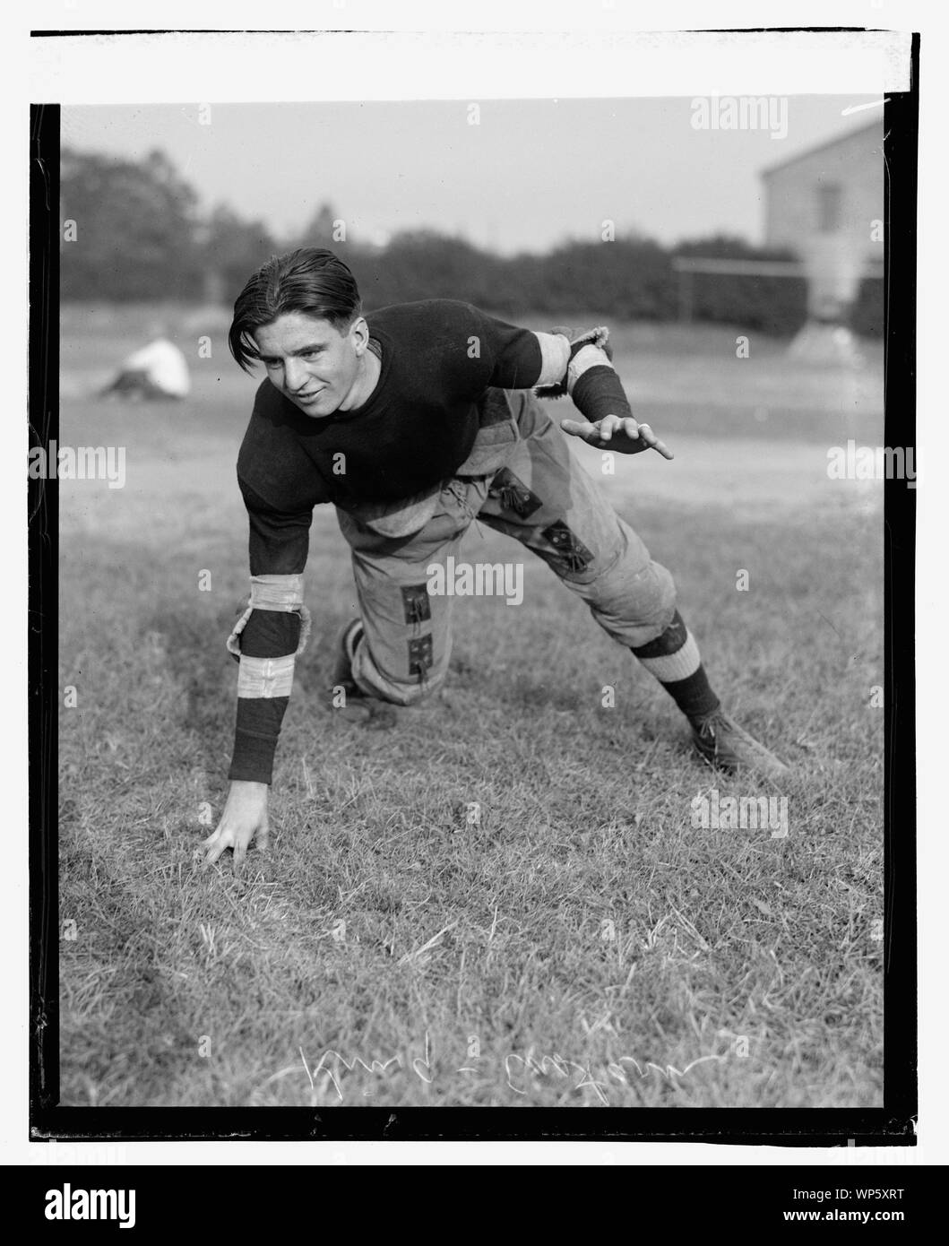 Royal eastern Cut Out Stock Images & Pictures - Alamy
