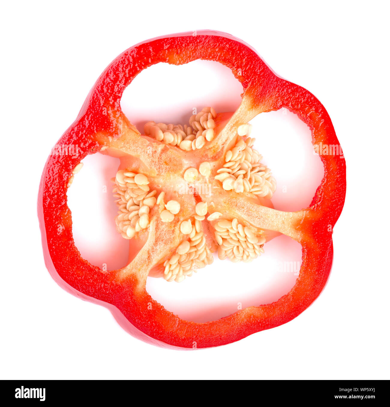 Slice of red bell pepper isolated on white background. Paprika slice ...