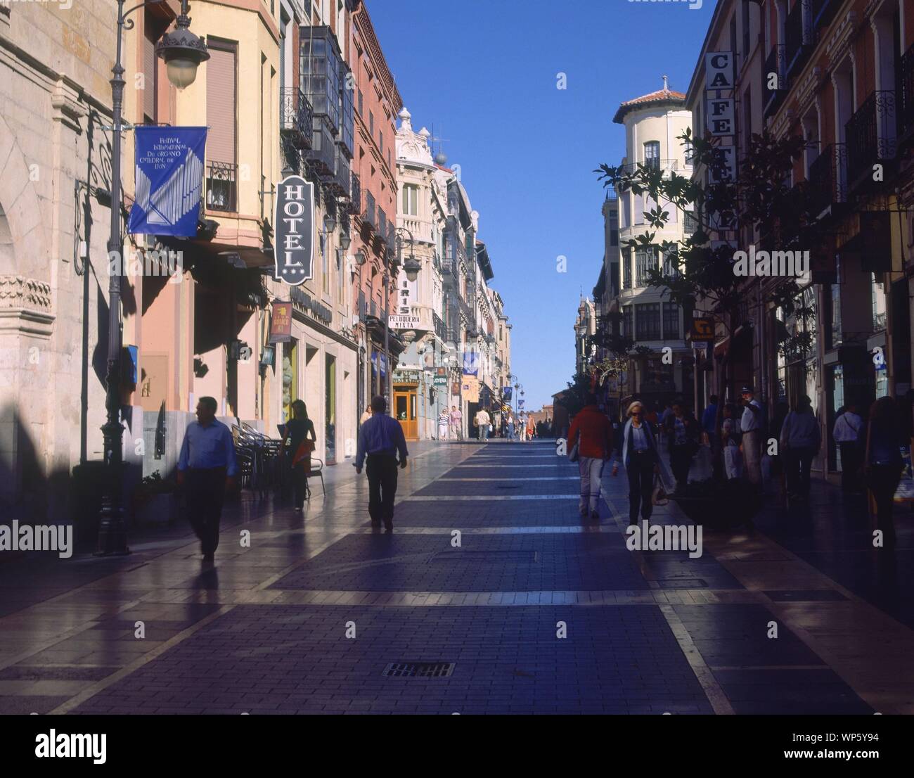 Leon calle ancha hi-res stock photography and images - Alamy Leon calle ancha hi-res stock photography and images - Alamy
