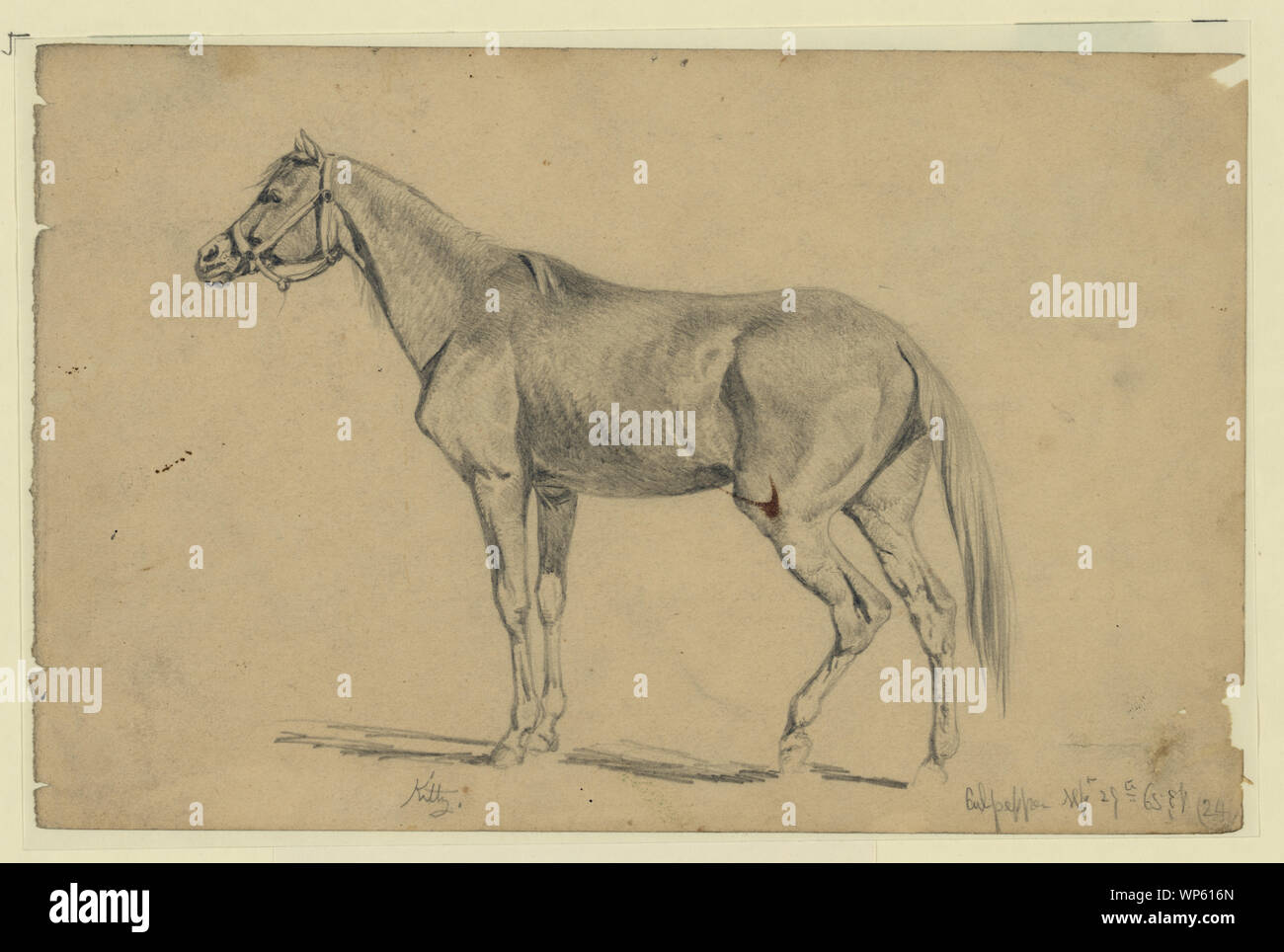 1862 1865 High Resolution Stock Photography and Images - Alamy