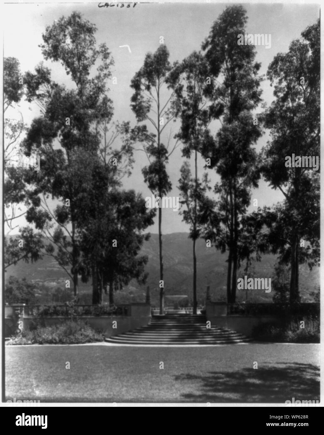 Barbara knapp hi-res stock photography and images - Alamy