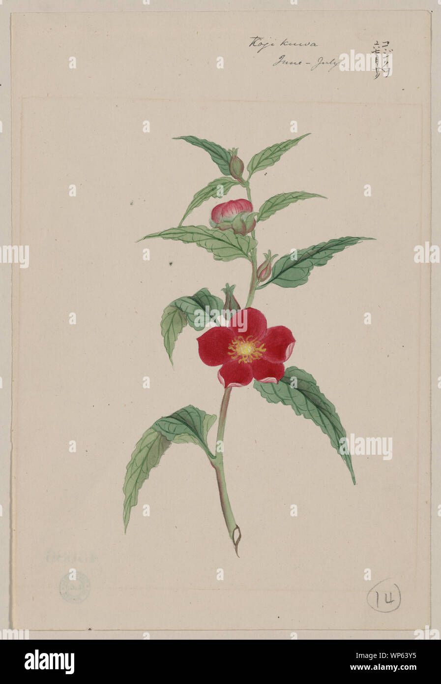 Kuwa hi-res stock photography and images - Alamy