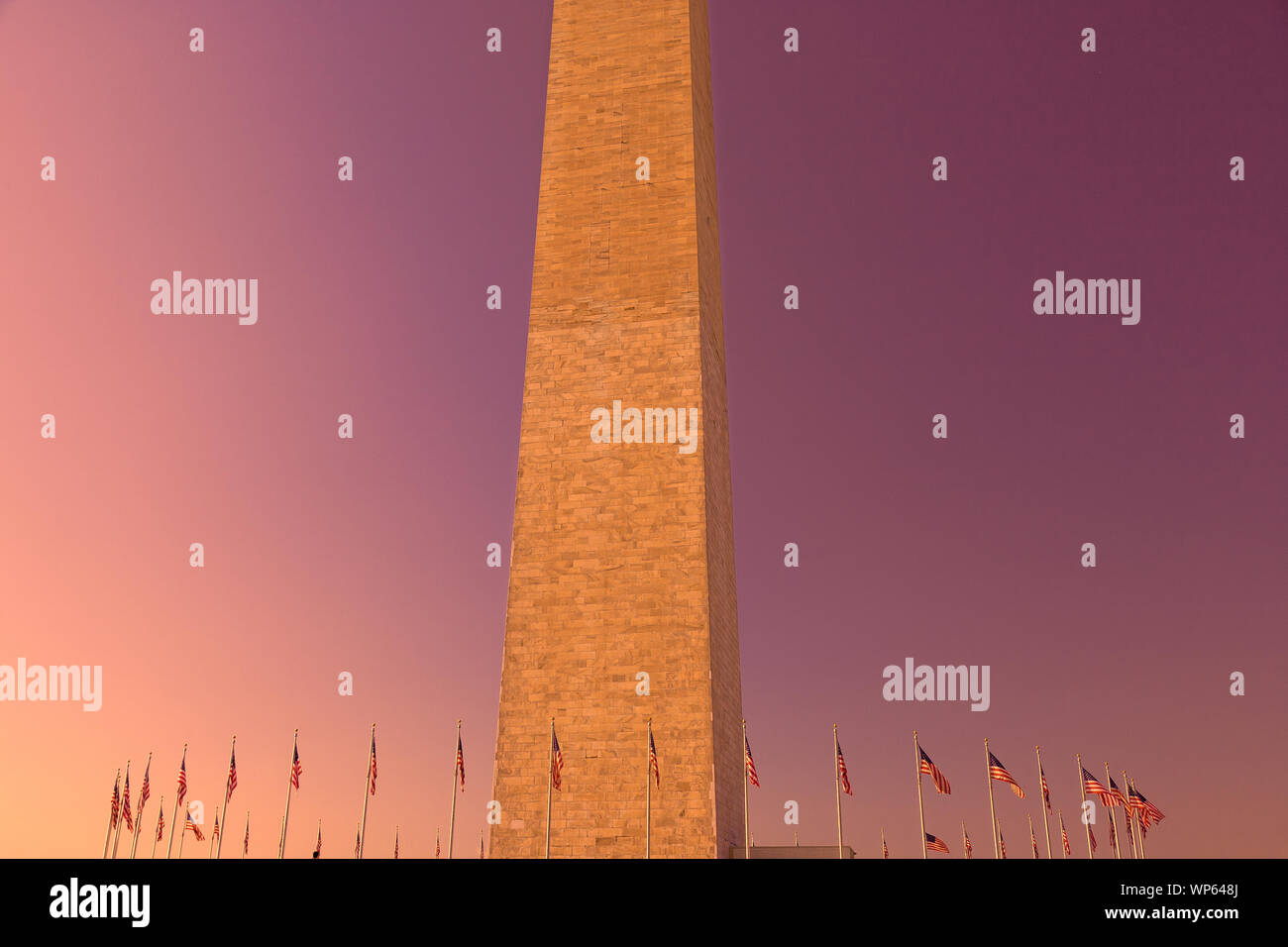 The Washington Monument surrounded by american flags, Washington DC ...