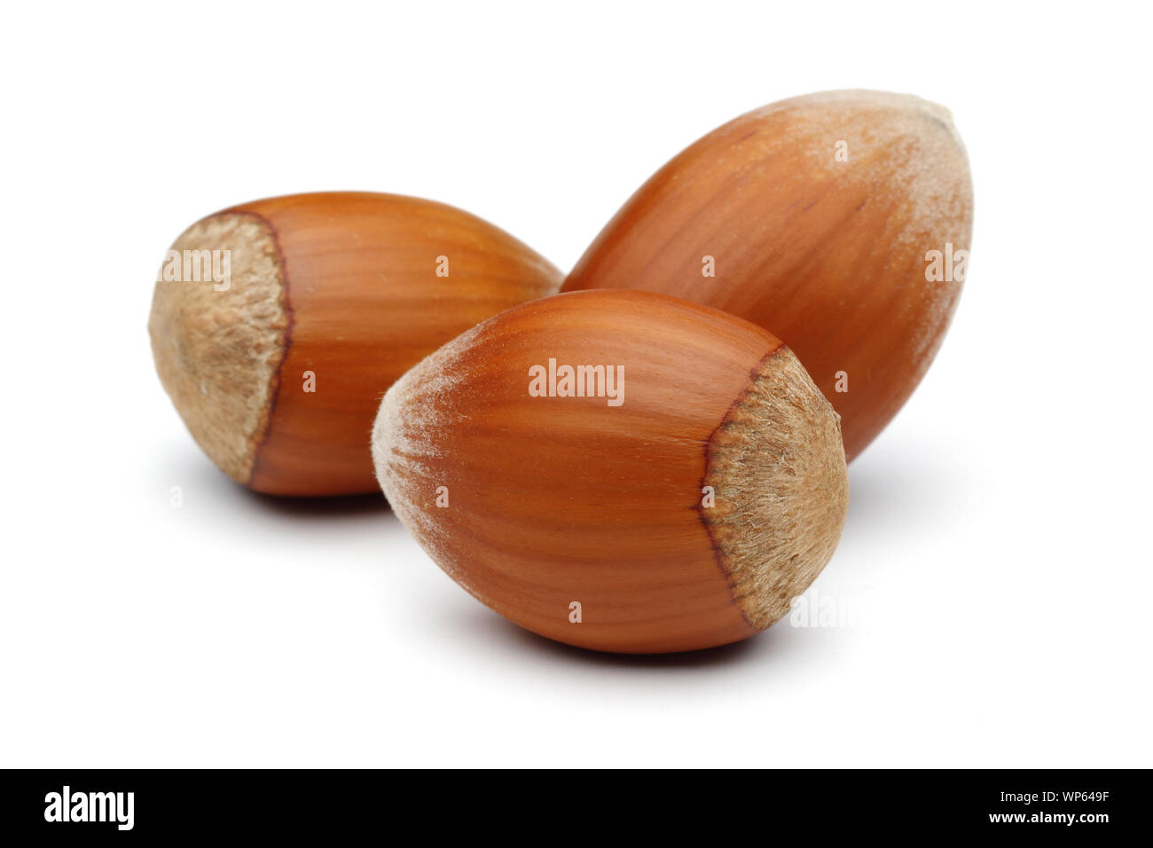 Group of hazelnuts isolated on white background Stock Photo - Alamy