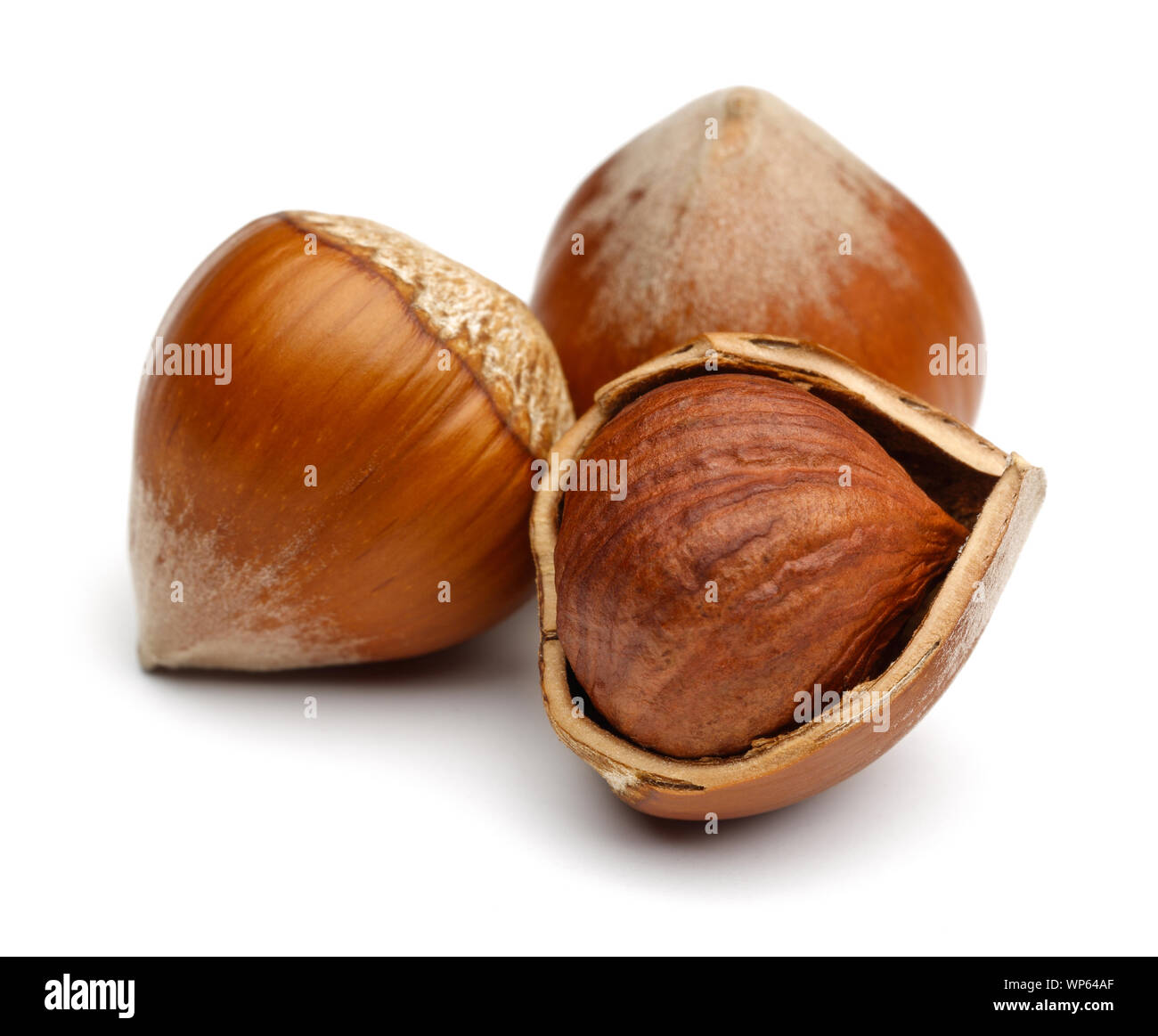 Group of hazelnuts isolated on white background Stock Photo - Alamy
