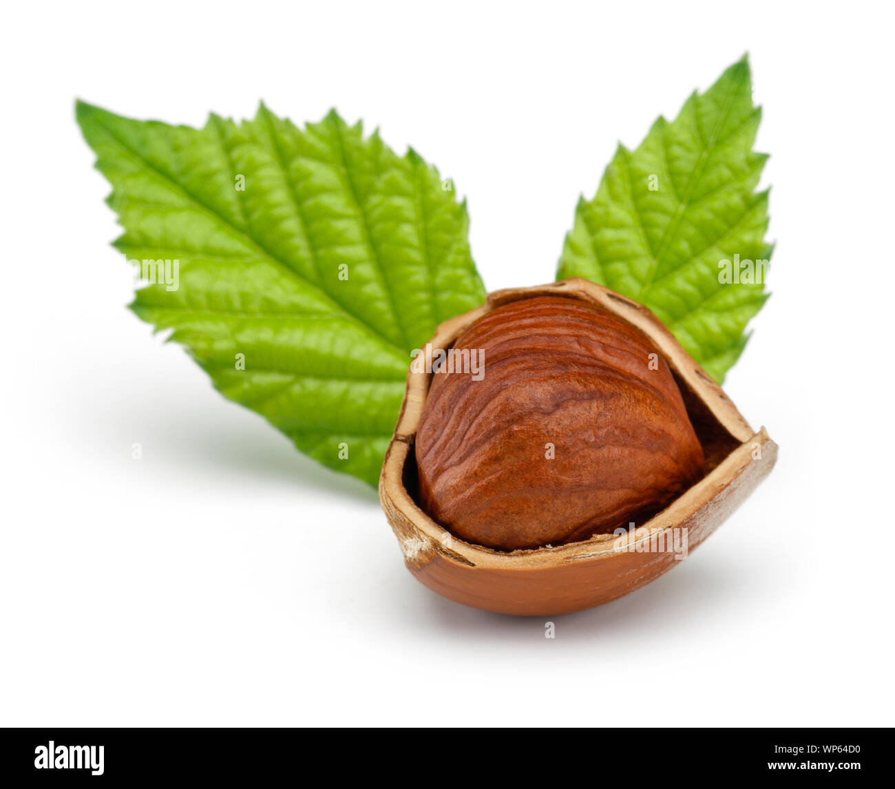 Broken hazelnut with green leaves isolated on white background Stock ...