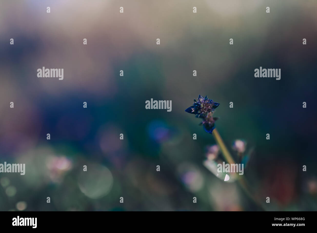 Centering hi-res stock photography and images - Alamy