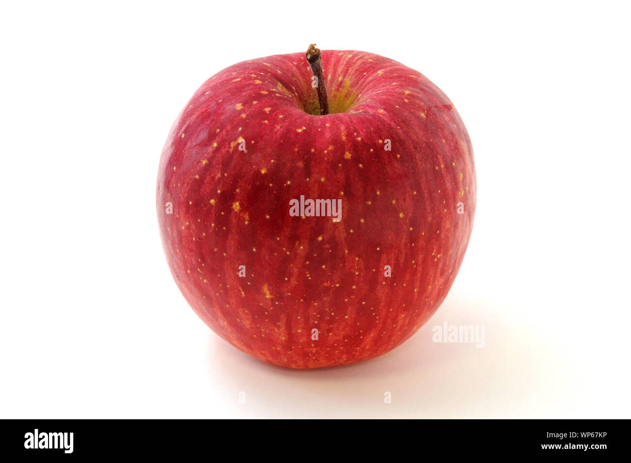red apple closeup isolated on white background Stock Photo - Alamy