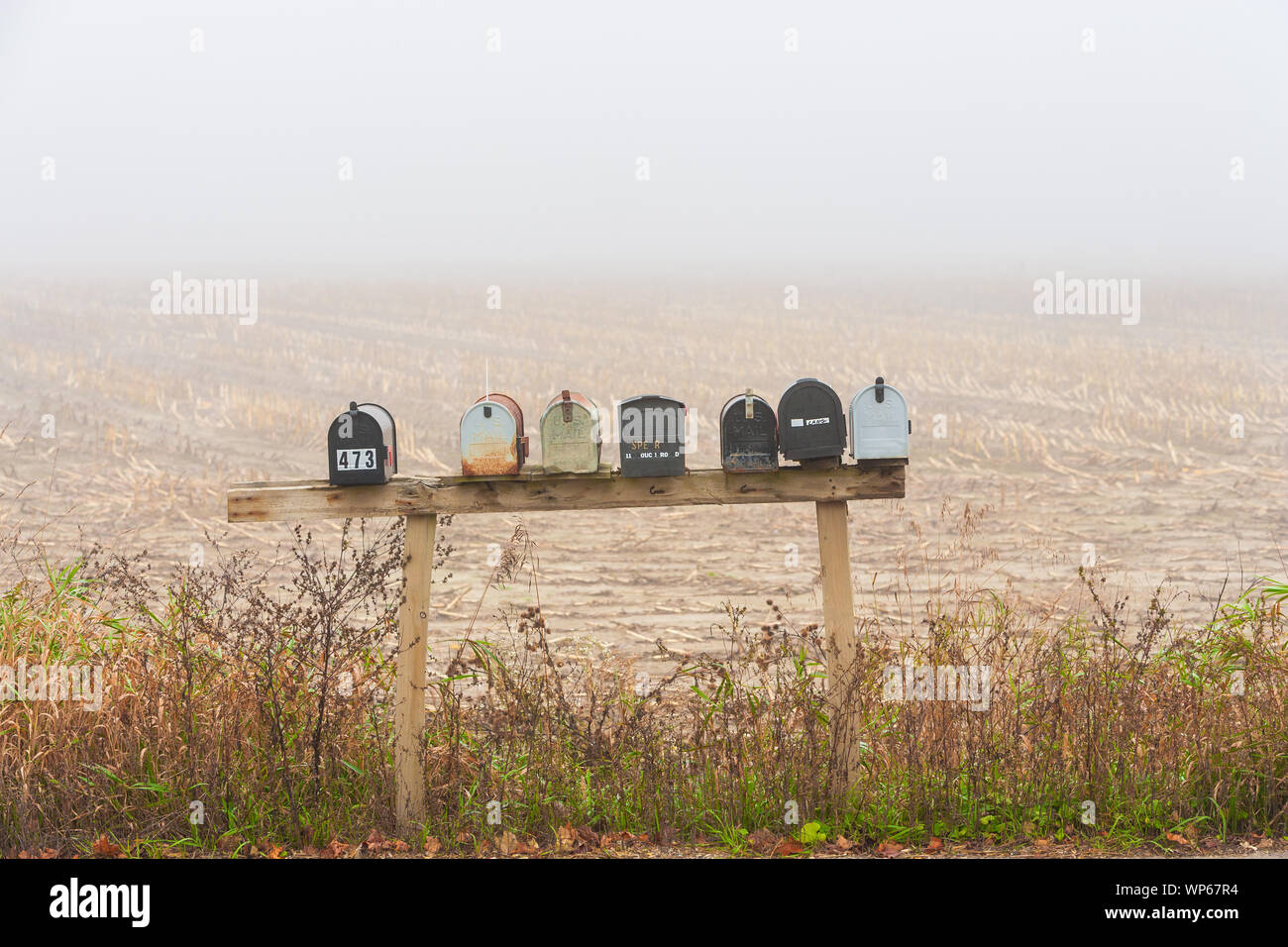 Row of mailboxes in front of a harvested corn field on a foggy morning ...