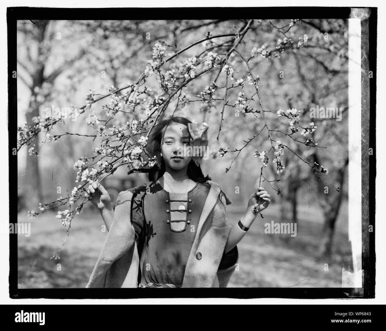 Haraguchi Cut Out Stock Images & Pictures - Alamy