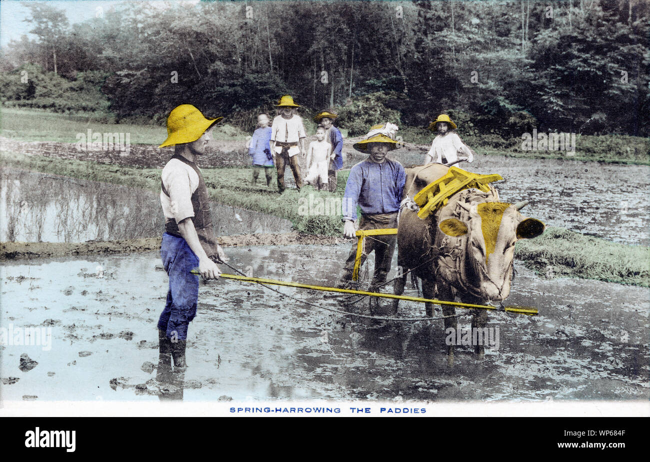 Archival plowing a field hi-res stock photography and images - Alamy