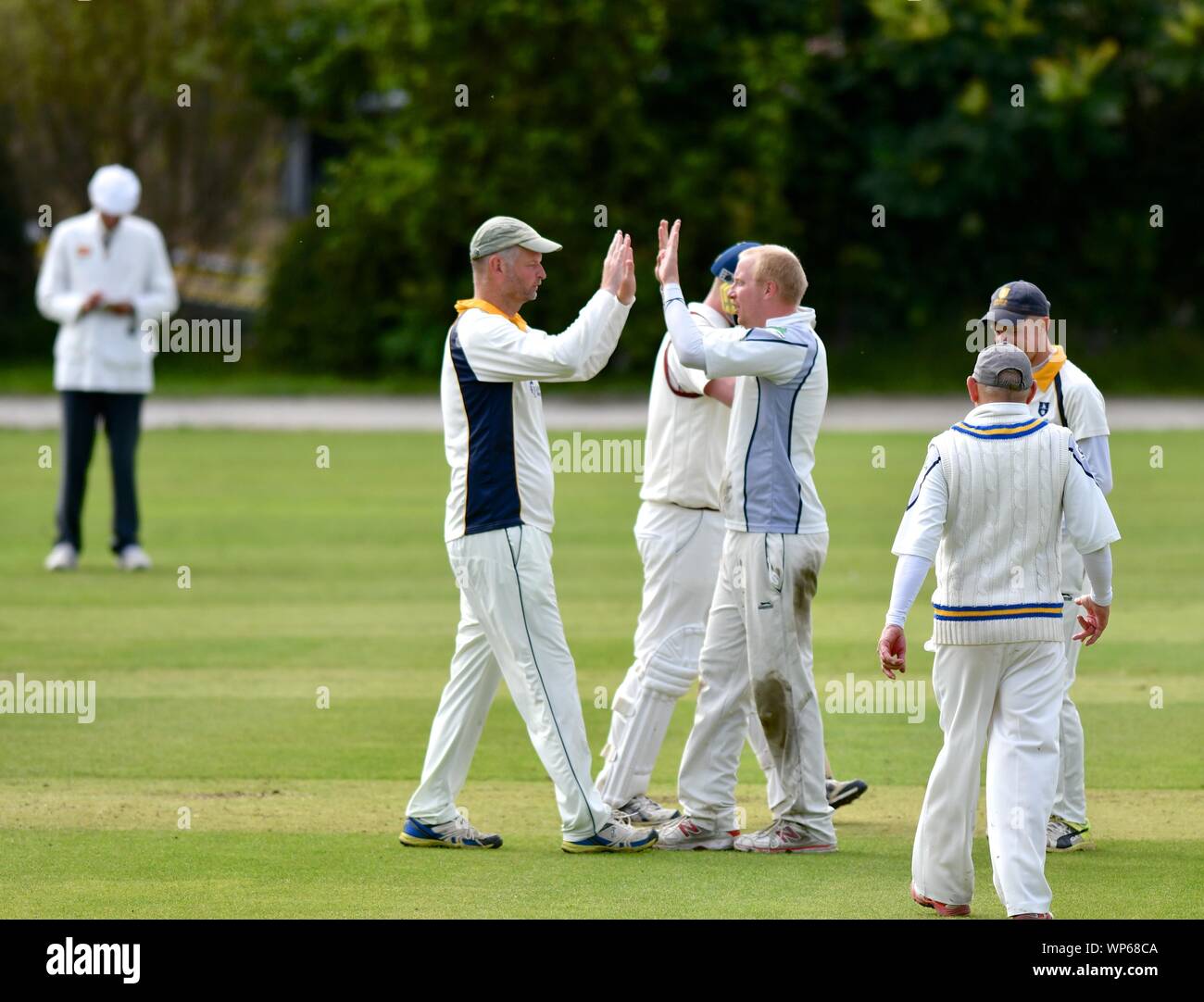 Cricket players success hi-res stock photography and images - Alamy