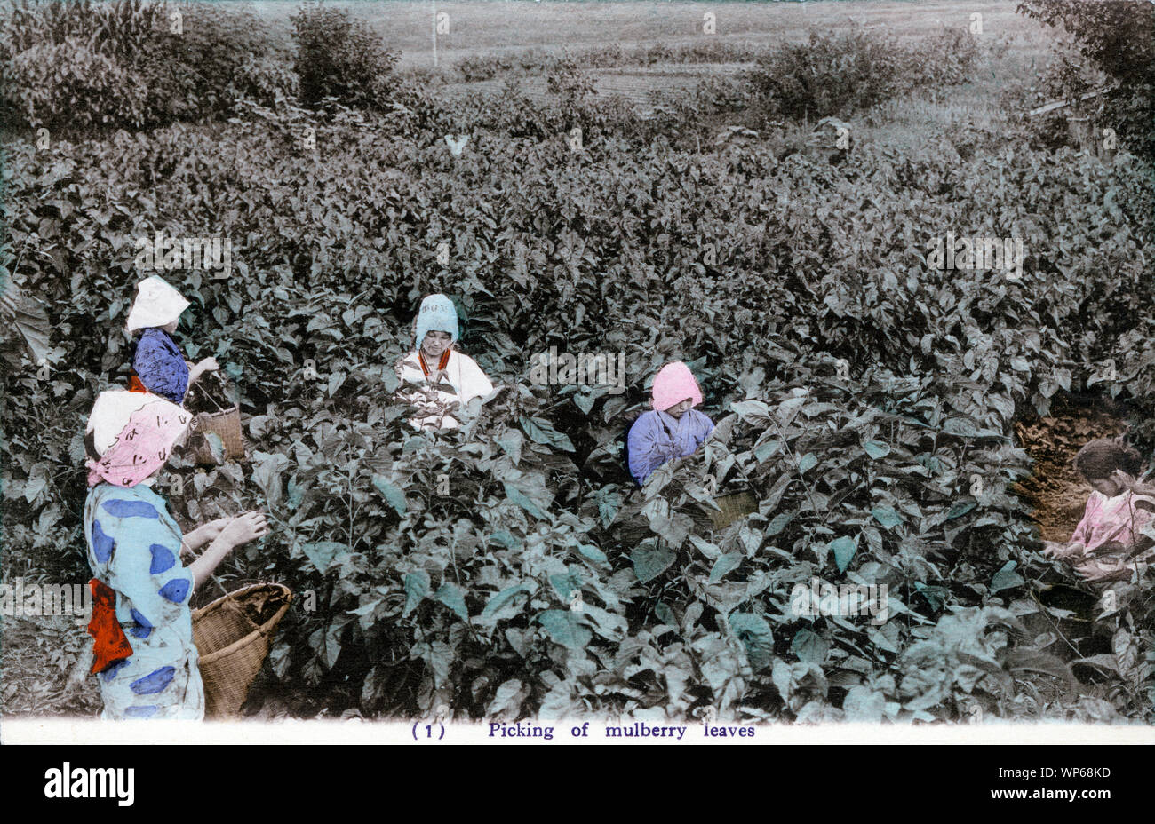1920s women farming hi-res stock photography and images - Alamy