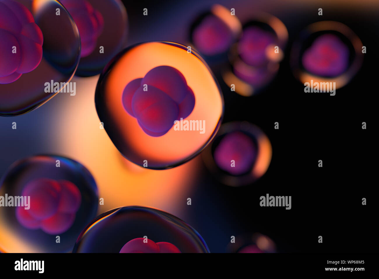 Nucleolus High Resolution Stock Photography and Images - Alamy