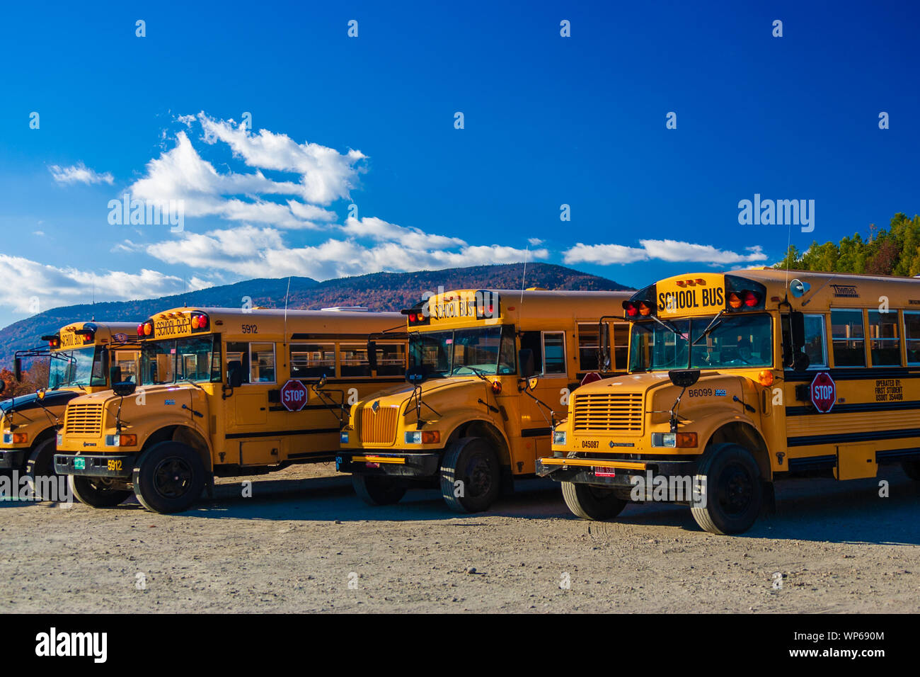 Buses in a row hi-res stock photography and images - Alamy