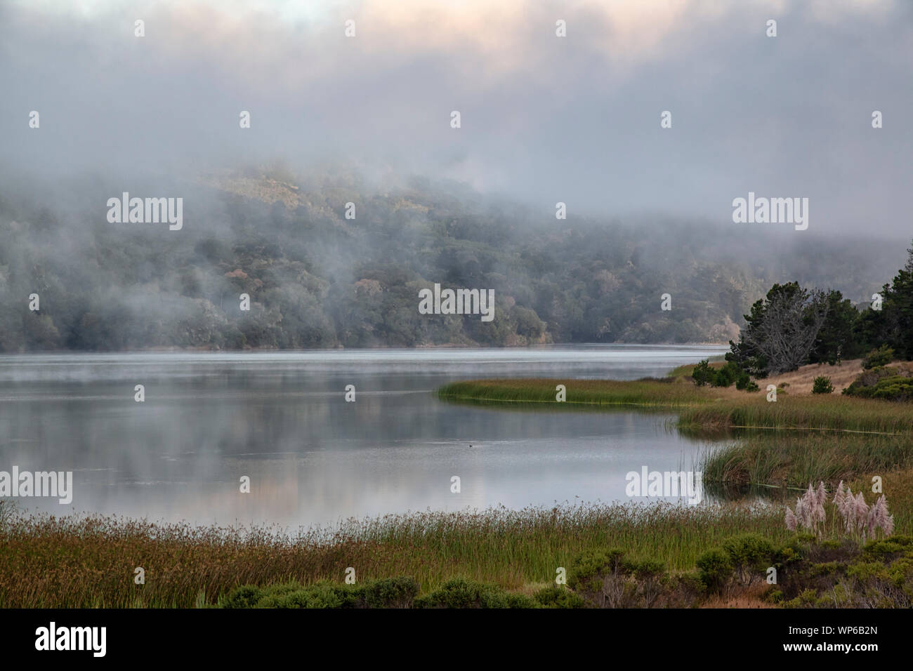 Crystal springs reservoir hi-res stock photography and images - Alamy