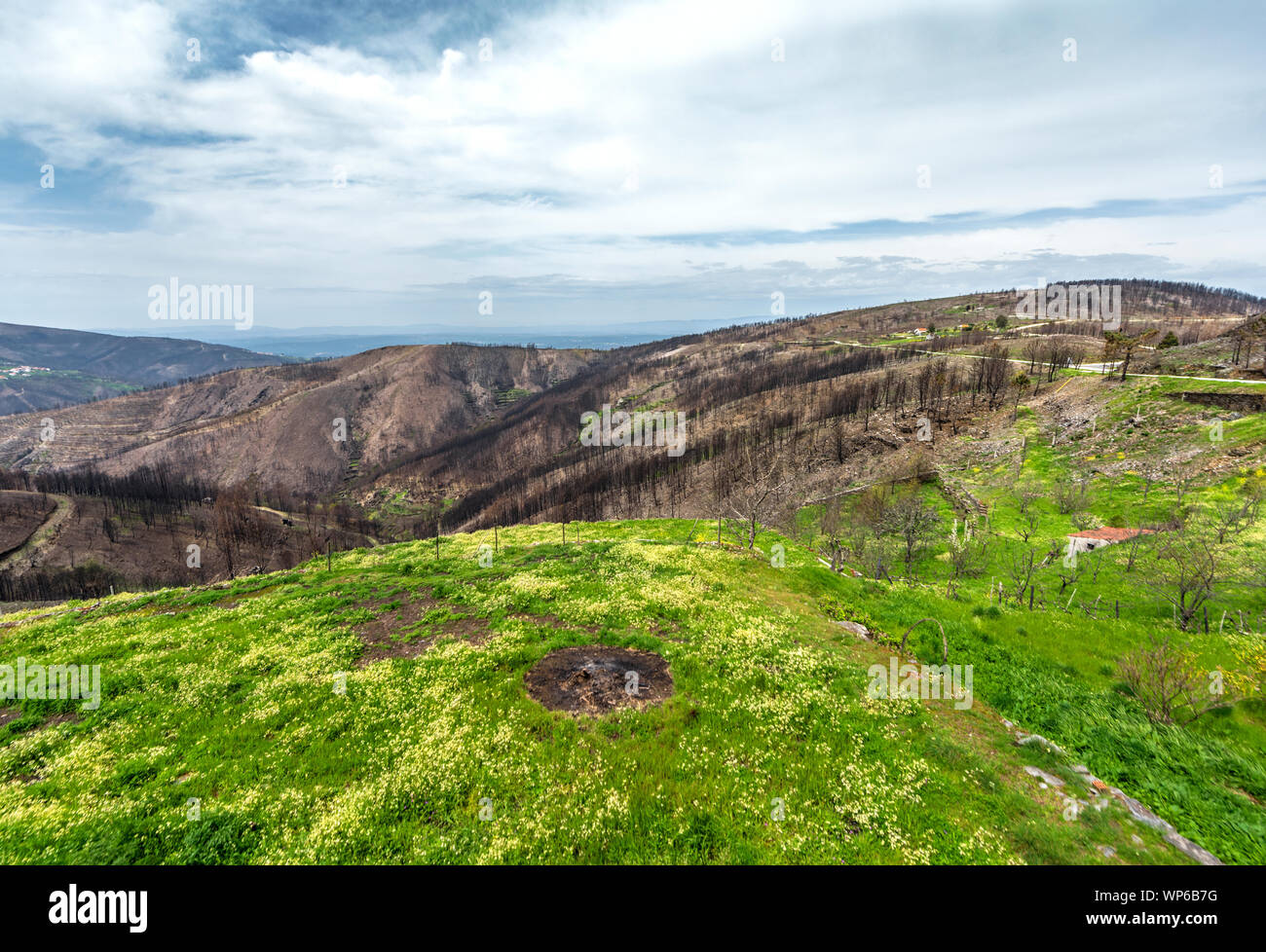 Peaceful view in Portuguese countryside Stock Photo - Alamy