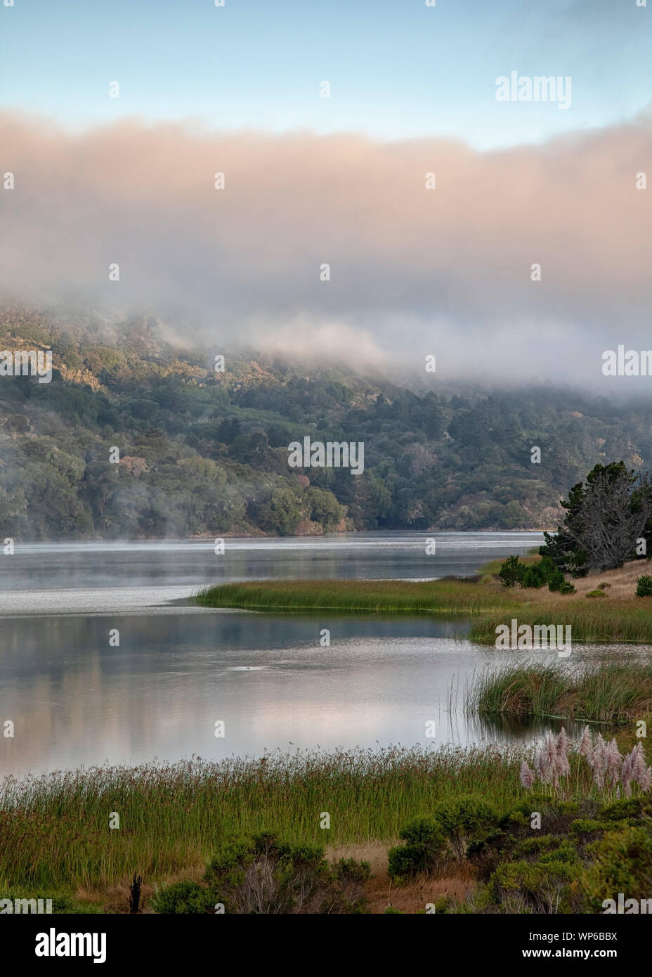 Crystal Springs at dawn Stock Photo - Alamy