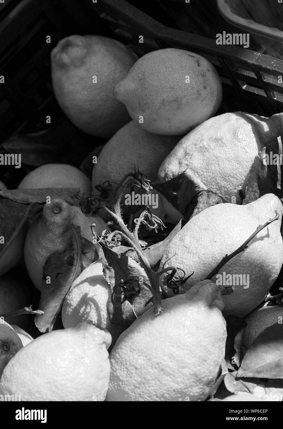 Fresh lemonade citrus fruit Black and White Stock Photos & Images - Alamy