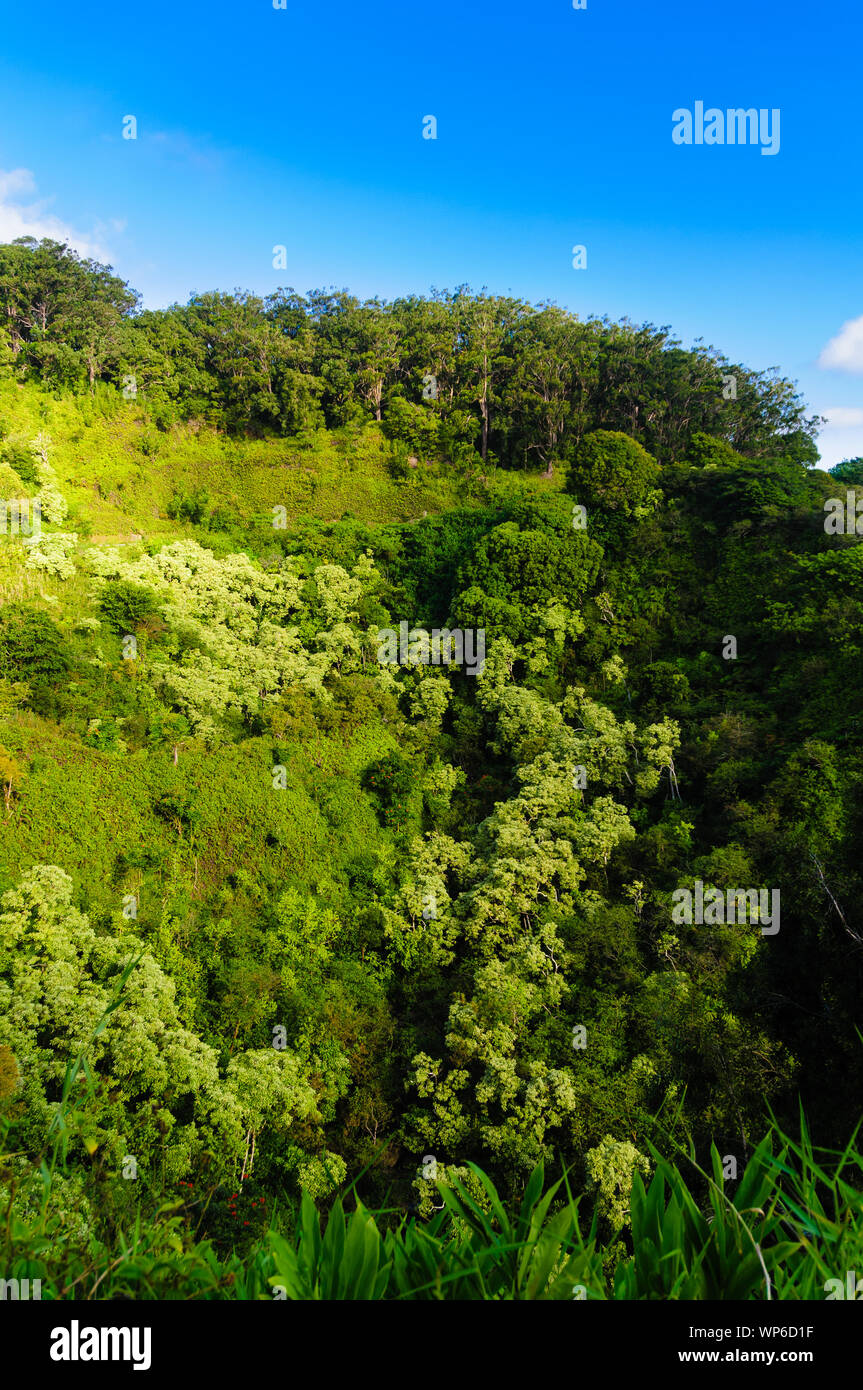 Lush tropical rain-forest valley on The Road to Hana, Maui, Hawaii, USA ...
