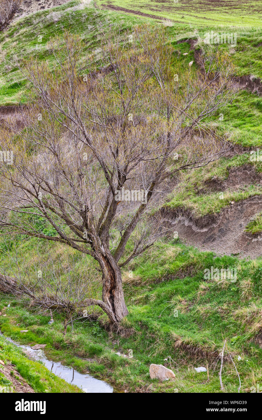 Mountain valley landscape, Qareh Kelisa, Qarah Kalisa, Chaldoran County ...