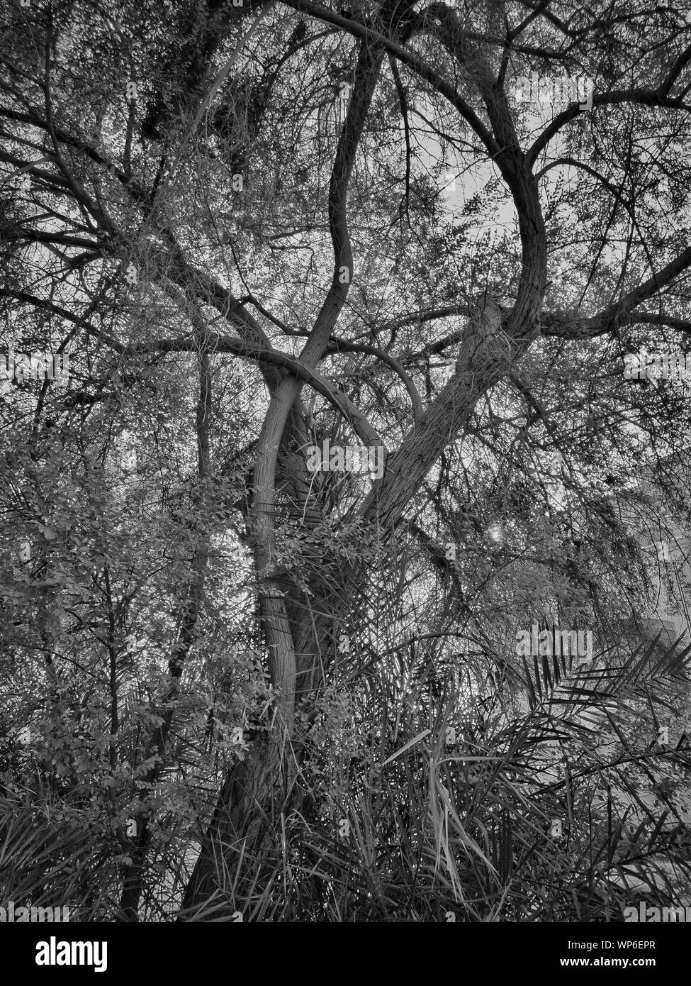 Scary image hi-res stock photography and images - Alamy