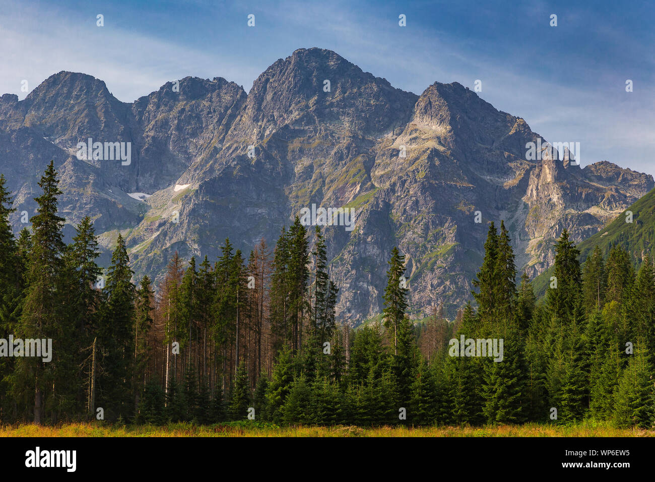 Beautiful edge in the Tatra Mountains Stock Photo - Alamy