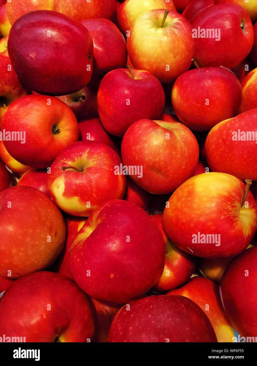RED APPLES IN GOLDEN LIGHT Stock Photo - Alamy