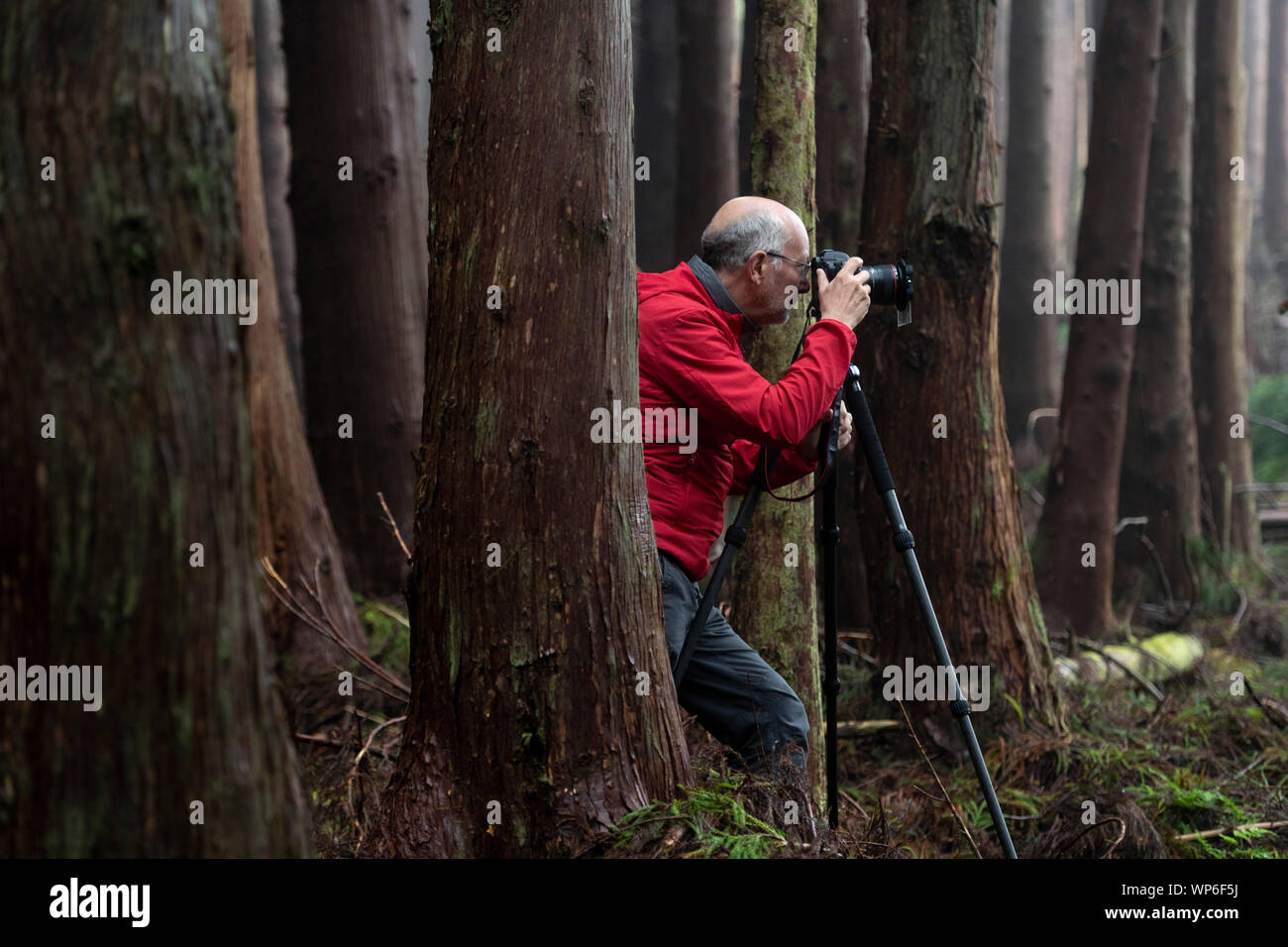 professional experienced male landscape photographer with a red jacket ...