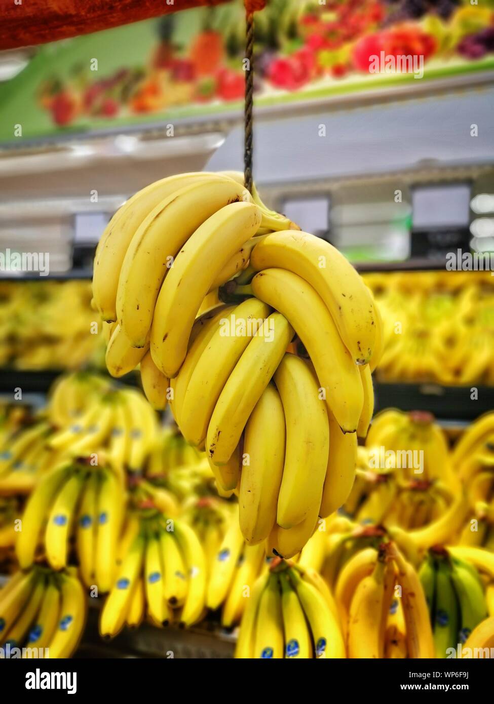 HANGING BANANA YUMMY BANANA WITH BLUR BACKGROUND FARMER STORE YELLOW ...