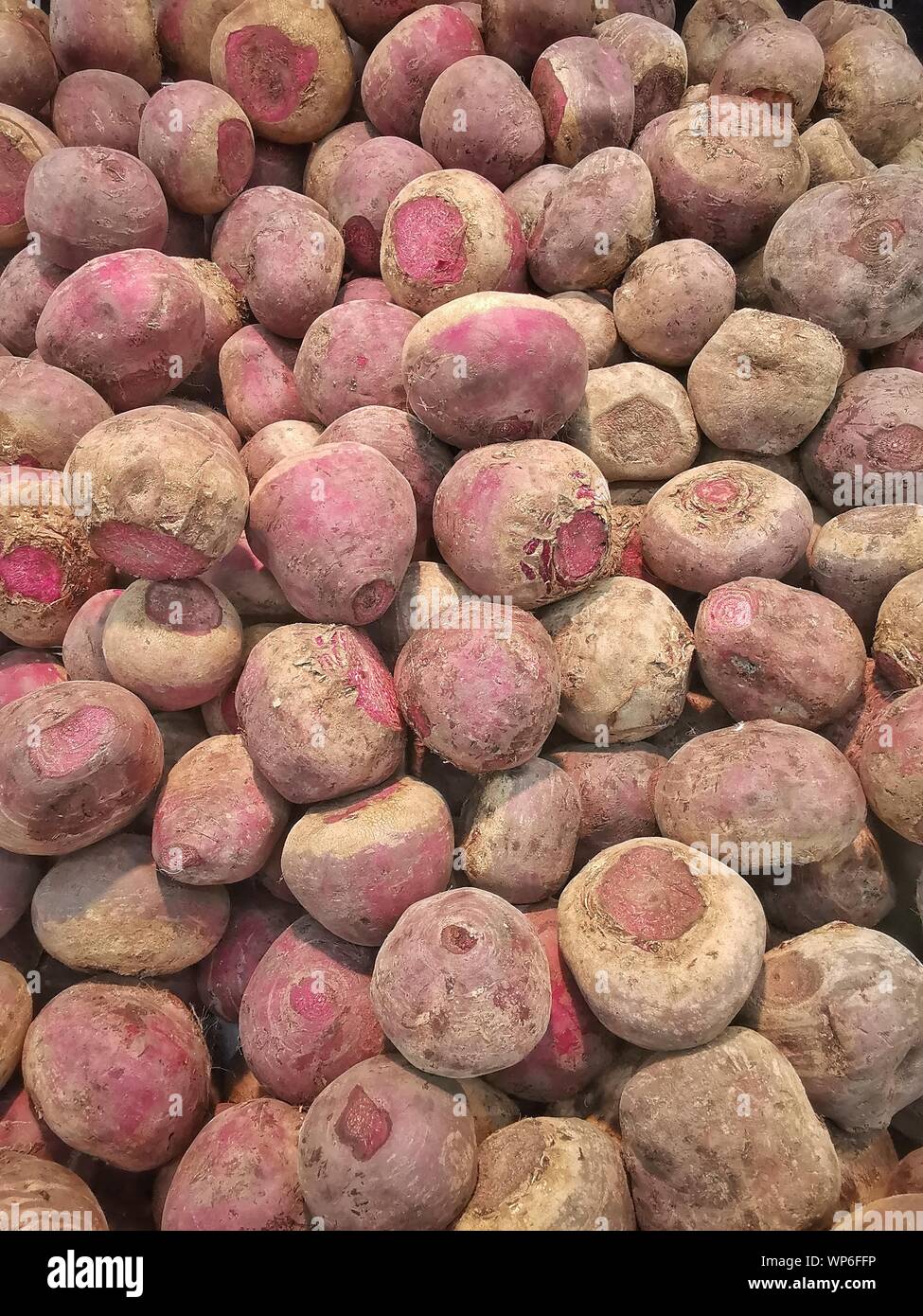 Beetroot head hi-res stock photography and images - Alamy